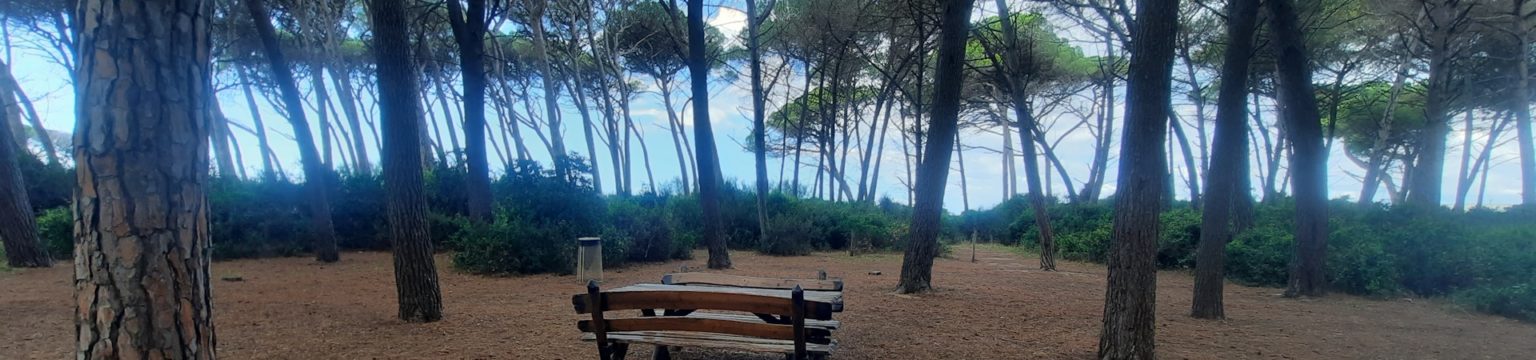 Ferienwohnung La Mazzanta | empfohlen von Toscana Forum